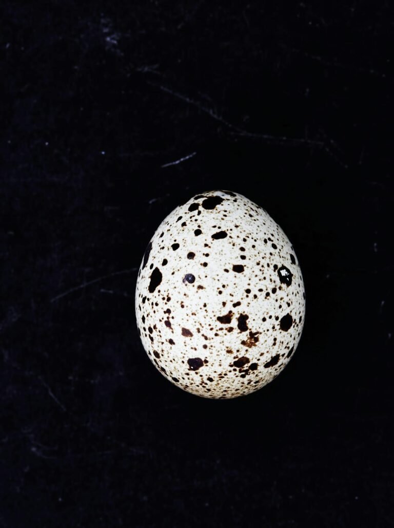 The Egg: A Symbol of Life & Rebirth - Monthly Mystic